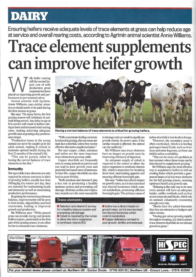 'Trace element supplements can improve heifer growth' | Agrimin