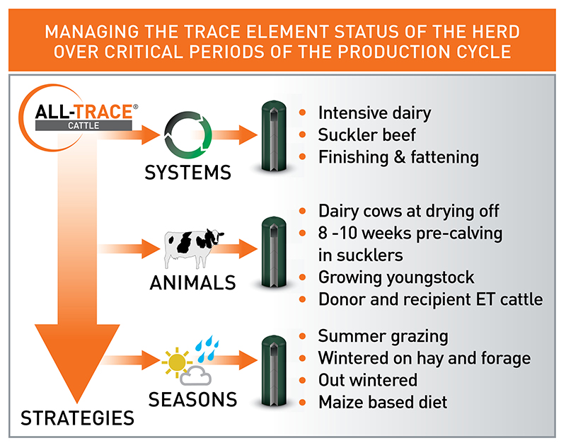 ALL-TRACE® CATTLE | Agrimin